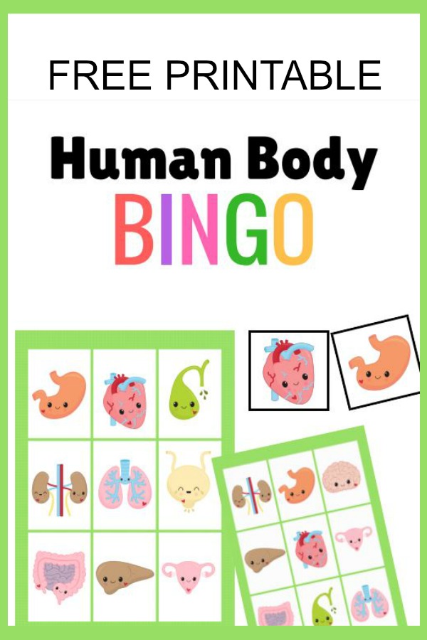 Human Body Bingo - Darcy and Brian - Shop