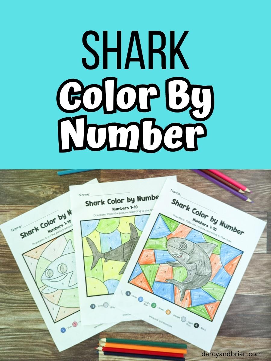 Shark Color By Number - Darcy and Brian - Shop